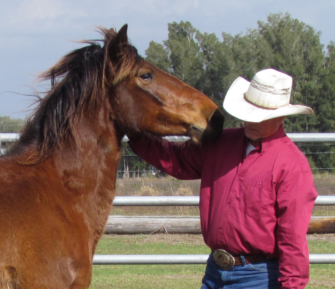 This is Who I Am - Bolo Hunt - Real Time Horsemanship